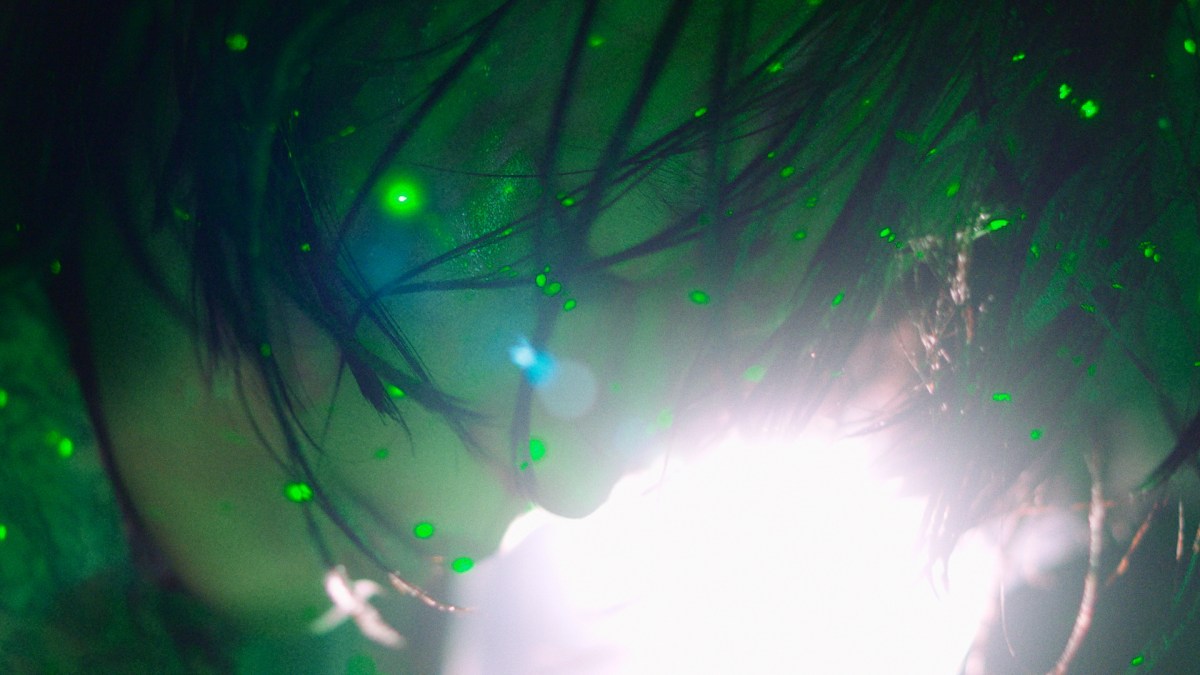 The Fifth Thoracic Vertebra (다섯 번째 흉추, Park Sye-young, 2022) [Fantasia ...